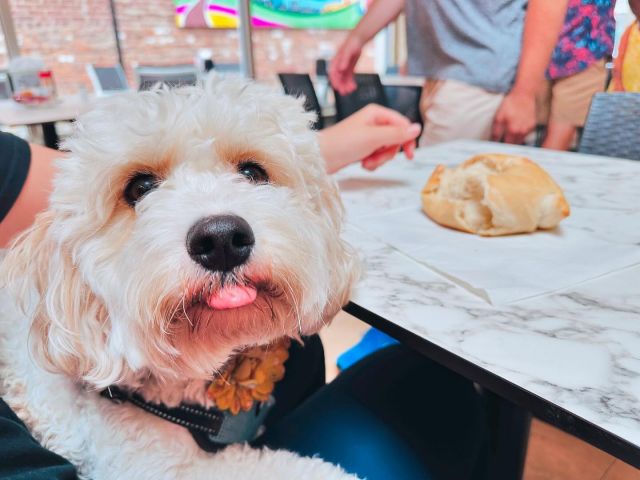 Home - Goldberg World Famous Deli